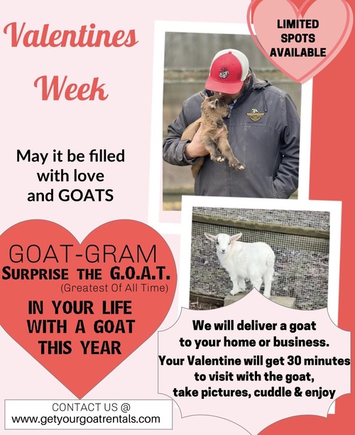 Goat Photo Shoots - Goat Journal